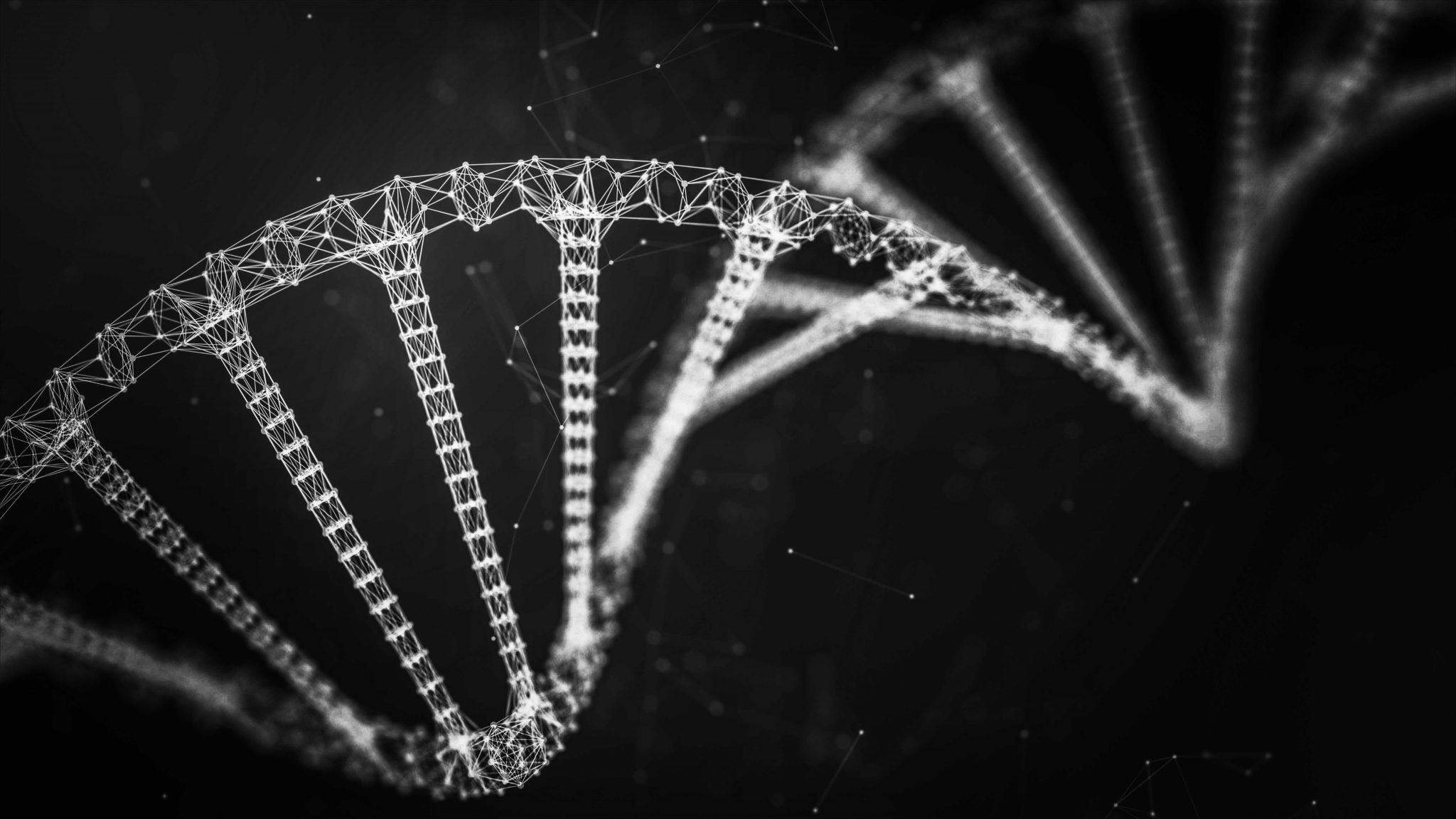 Overview of Digital Presence | Web Anatomy SEO